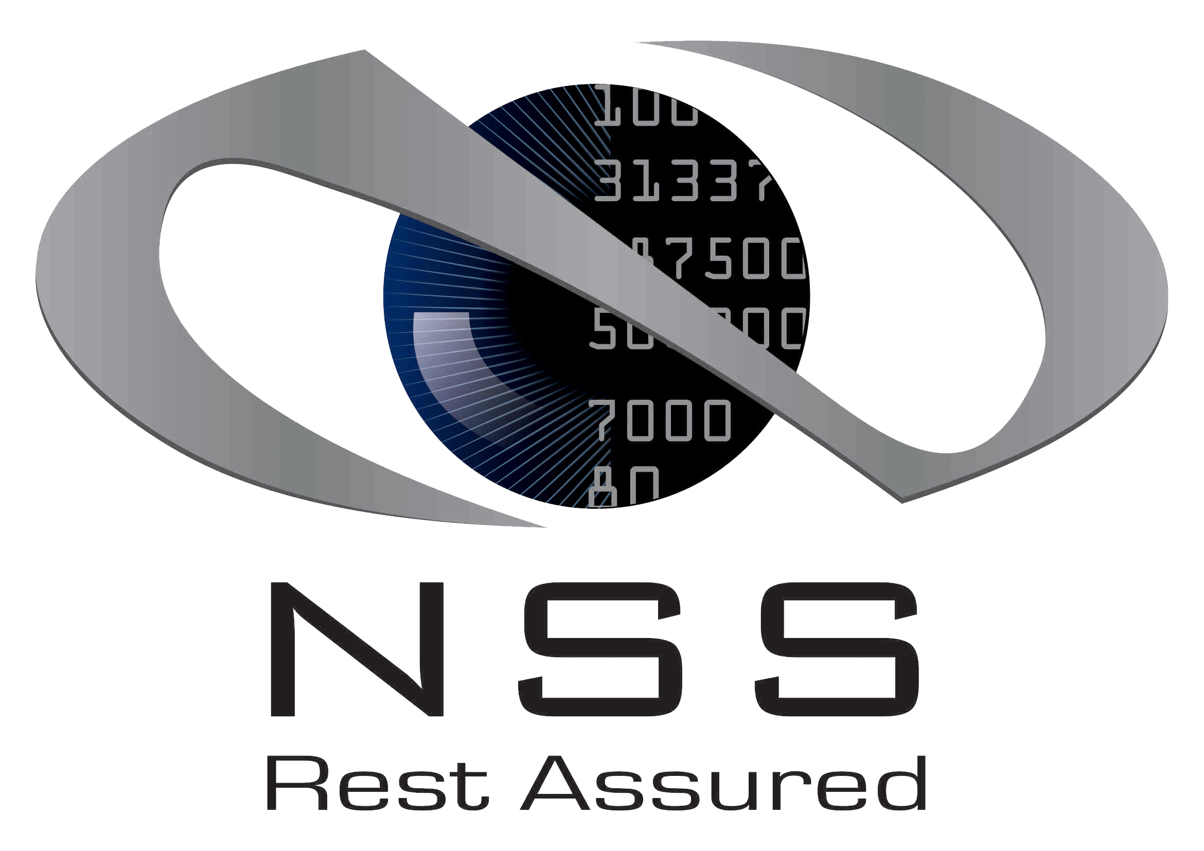 NSS Nfilade Security Solutions